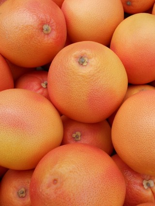 BIO Grapefruit červený velký 'STAR RUBY' red grapefruit - Havlis.cz