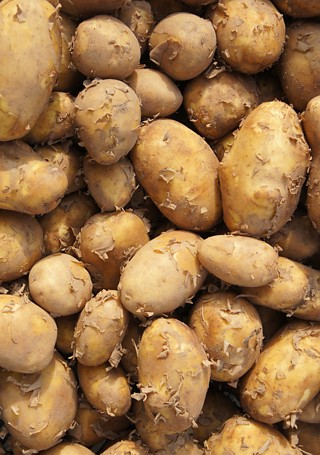 BIO Brambory nové potatoes - Havlis.cz